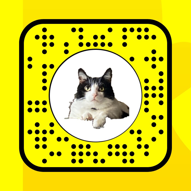 handsome samson Lens by grace - Snapchat Lenses and Filters