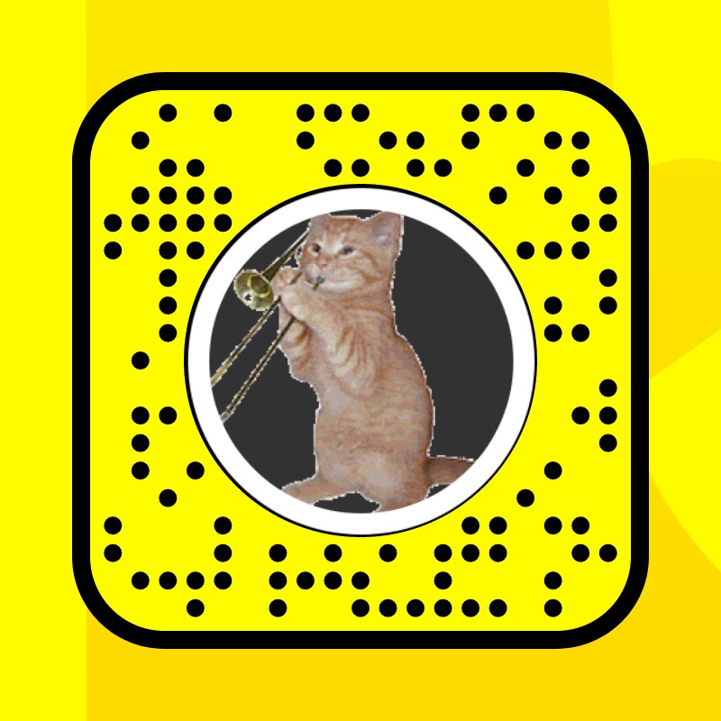 cat filter Filter by léna móger | Snapchat Lenses
