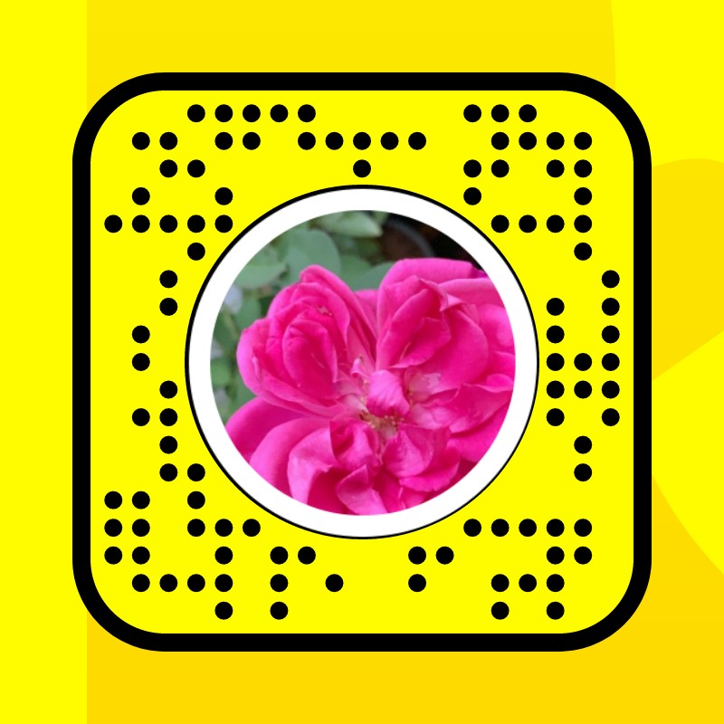 eid Filter by Jolly.1177 M | Snapchat Lenses