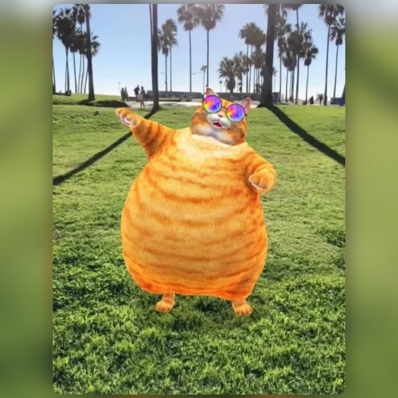 Disco Cat Filter by Snapchat | Snapchat Lenses