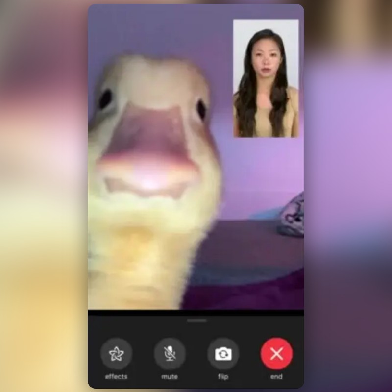 FaceTime duck Lens by hayden " - Snapchat Lenses and Filters