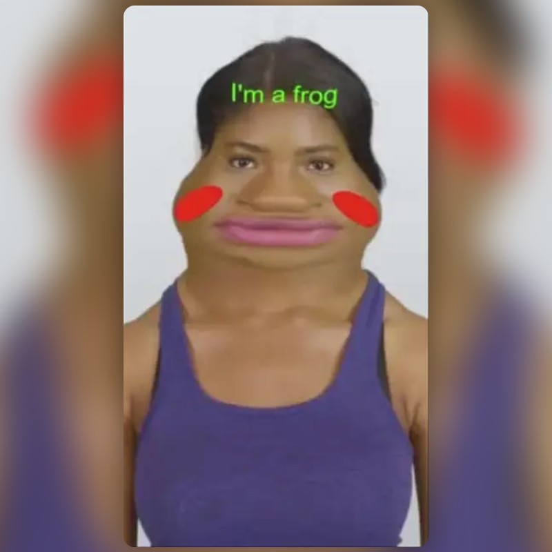 frog Lens by Arne Vdb - Snapchat Lenses and Filters