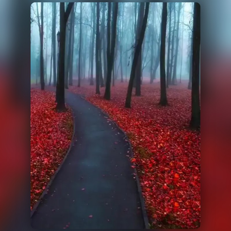 Nature Lens by нєvαℓ ĸυяɒɪsн - Snapchat Lenses and Filters