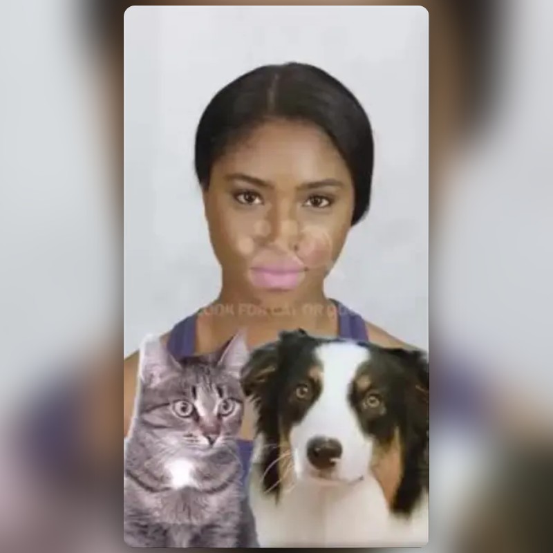 Summer Cat and Dog Lens by Teja 😁 - Snapchat Lenses and Filters