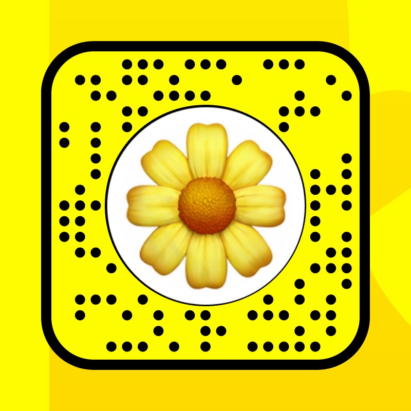 flowers Filter by King 👑 | Snapchat Lenses
