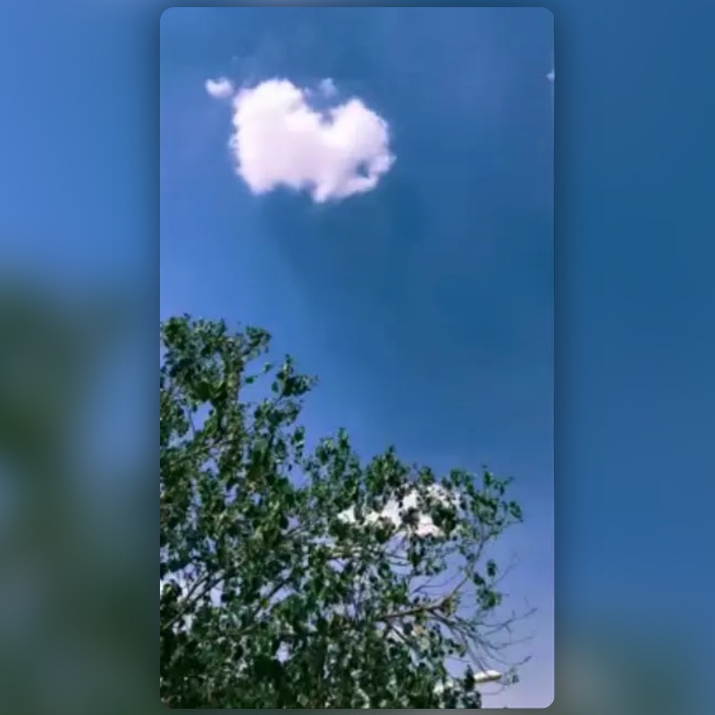 Nature Filter by مَ 📸 | Snapchat Lenses