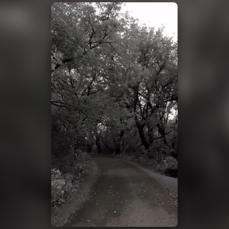 shadow Lens by rob 🇺🇲 - Snapchat Lenses and Filters