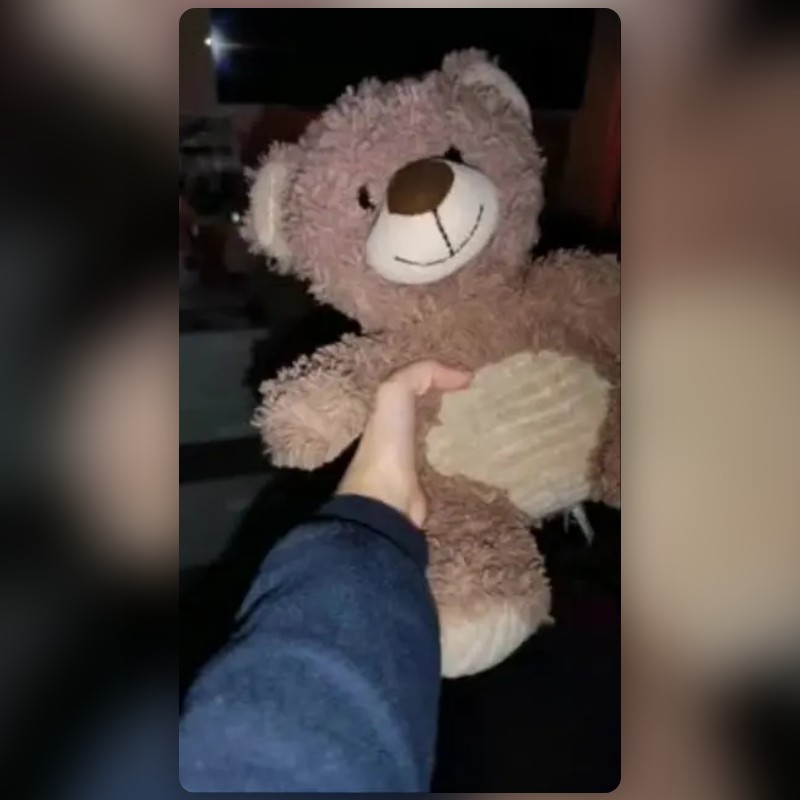 Teddy streak Filter by Akash___heer | Snapchat Lenses