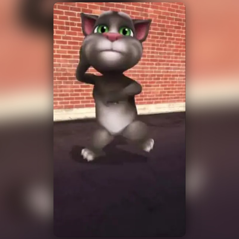 Talking Tom Dance Lens by Sky 🕷️ - Snapchat Lenses and Filters
