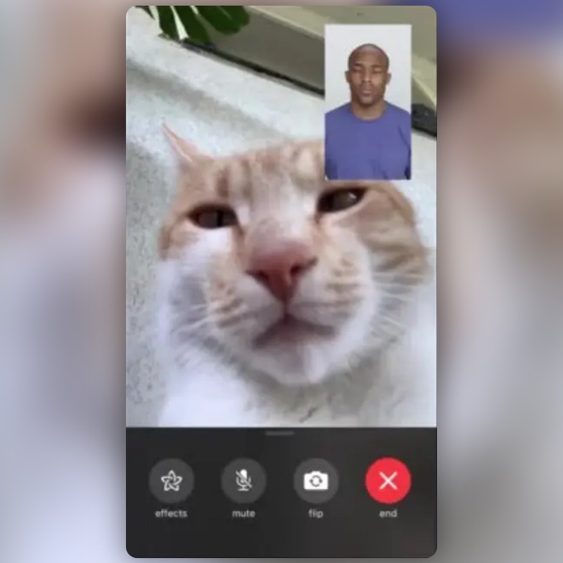 Facetime Ginger Filter by Adam🤒 | Snapchat Lenses