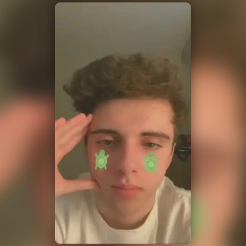 Turtle Lens by Snapchat - Snapchat Lenses and Filters