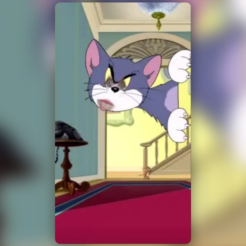 Tom Filter by Jasnoor Singh🔺 | Snapchat Lenses