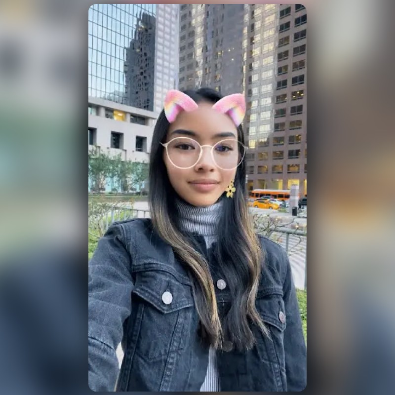 Cat Rainbow Ears Filter by Snapchat | Snapchat Lenses