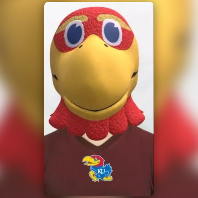 Big Jay Jayhawk Lens by WILD PORTALS - Snapchat Lenses and Filters