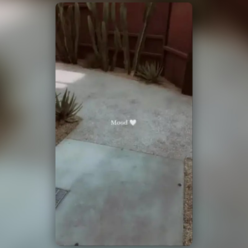 Mood Aesthetic Filter by Abel | Snapchat Lenses