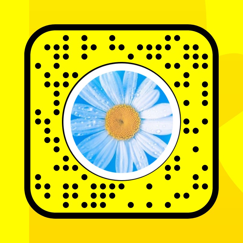 Flowers Lens by Simran - Snapchat Lenses and Filters