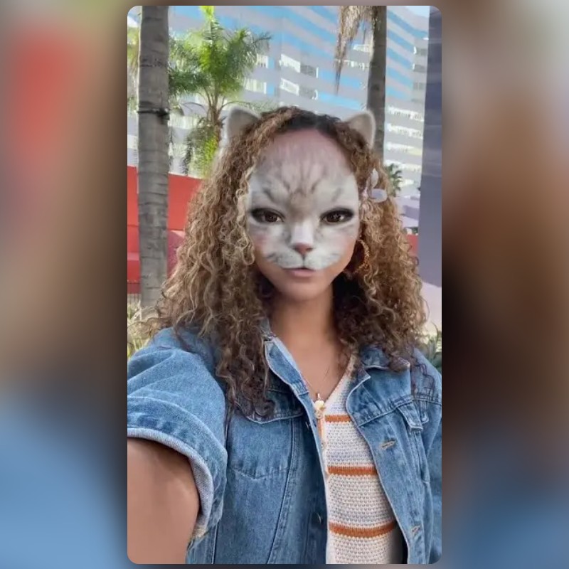 Cat Face Lens by Snapchat - Snapchat Lenses and Filters