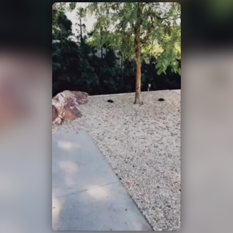 Golden Glow Lens by Elliot Whittaker - Snapchat Lenses and Filters