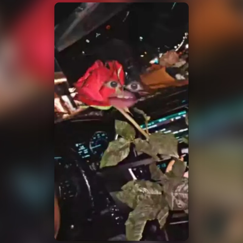 Roses Aesthetics Filter by m1rehxn | Snapchat Lenses