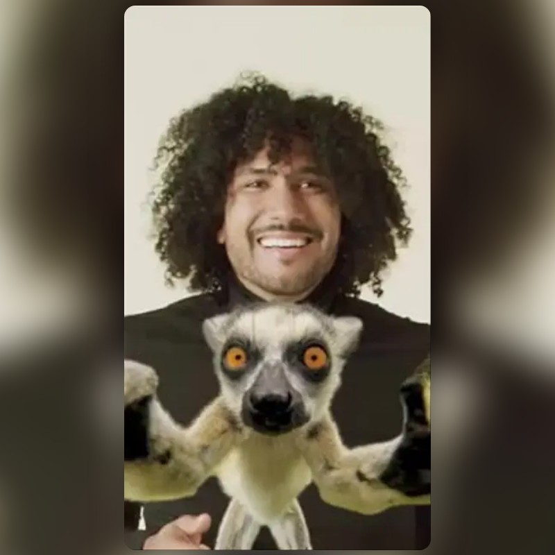 Animal Selfie Lens by prishilla🧜‍♀️ - Snapchat Lenses and Filters