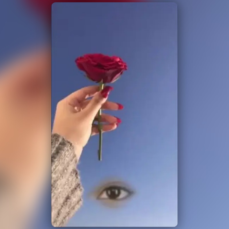 Holding Flower Lens by Deeploop Technologies - Snapchat Lenses and Filters