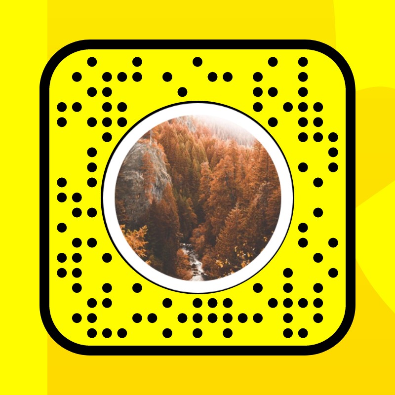 Fall Grain Lens by Nikolai - Snapchat Lenses and Filters