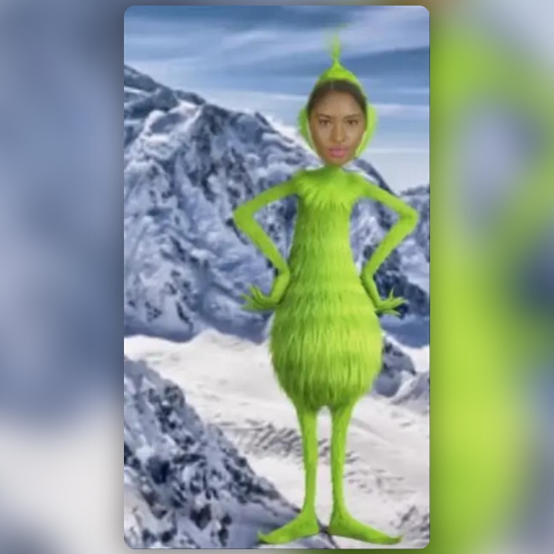 Face In Grinch Lens by Syur.24 - Snapchat Lenses and Filters