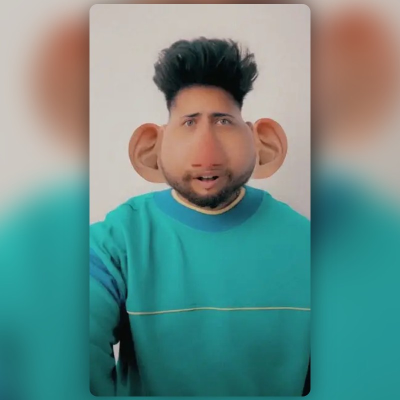 Big Ears and Nose Lens by Snapchat - Snapchat Lenses and Filters