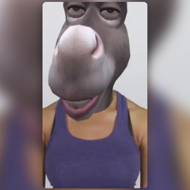 donkey head Filter by فهد العنزي | Snapchat Lenses