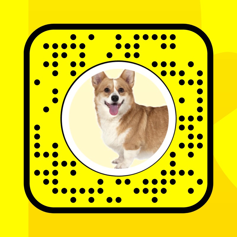 Corgi Filter by Félix B. | Snapchat Lenses