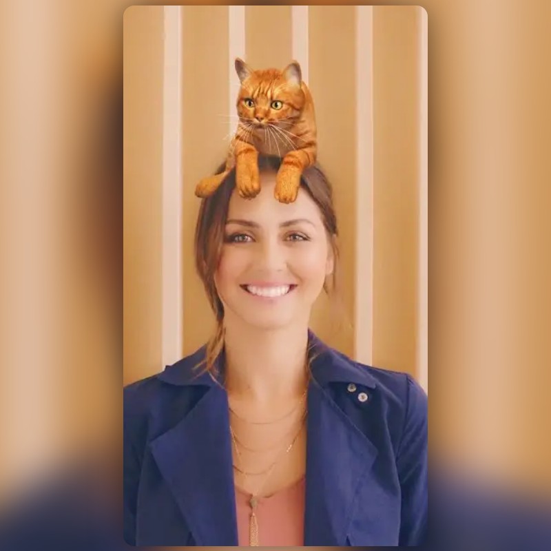 Cat on Head Filter by Snapchat | Snapchat Lenses