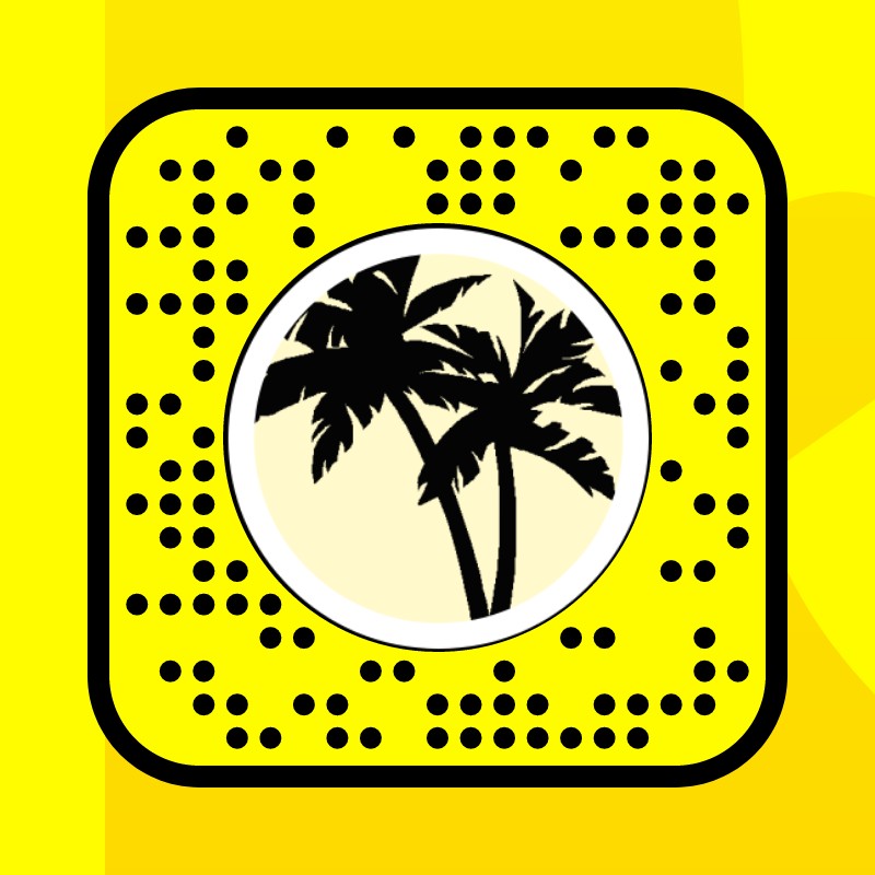 Palm Tree Blush Lens By Alexis Snapchat Lenses And Filters