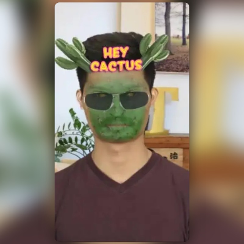 Hey Cactus Male Filter by Marky Mark | Snapchat Lenses