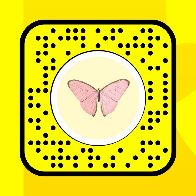 butterfly blush Lens by sahiba - Snapchat Lenses and Filters