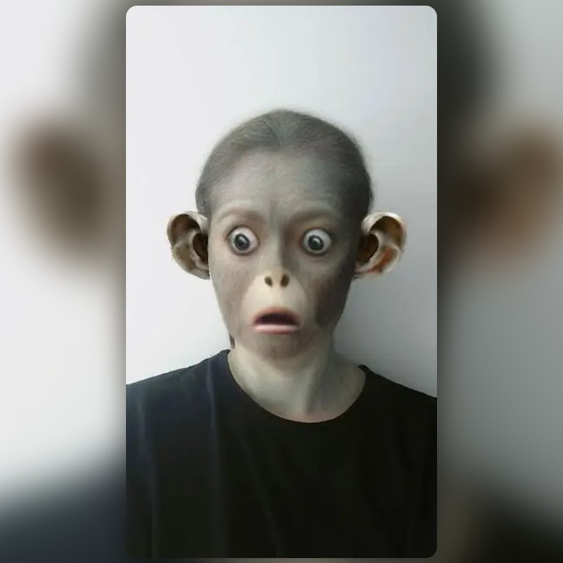 Monkey Filter by Snapchat | Snapchat Lenses