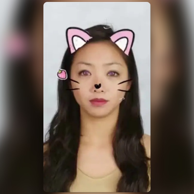 Kitty cat Filter by Steph Chaplin | Snapchat Lenses
