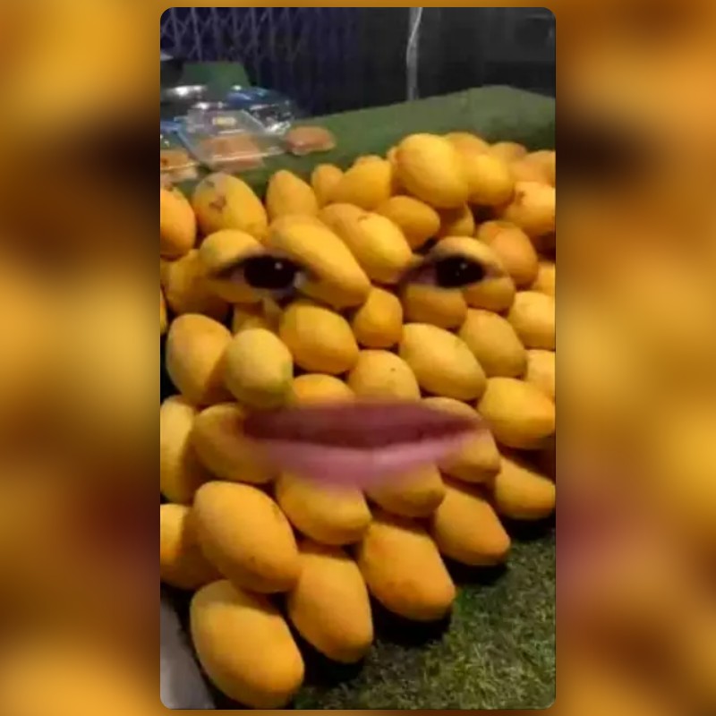 Mango Filter by Shashank | Snapchat Lenses