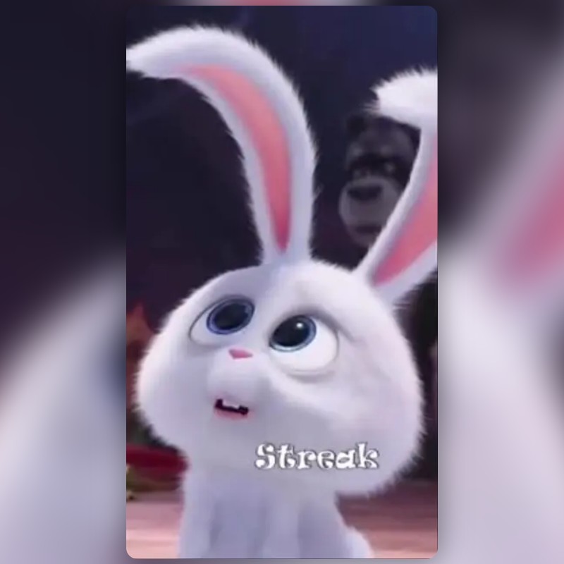 streak rabbit Lens by ︎ 🅳♐️ - Snapchat Lenses and Filters