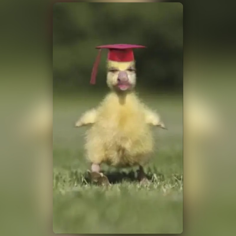 Duck Lens by Lentera - Snapchat Lenses and Filters