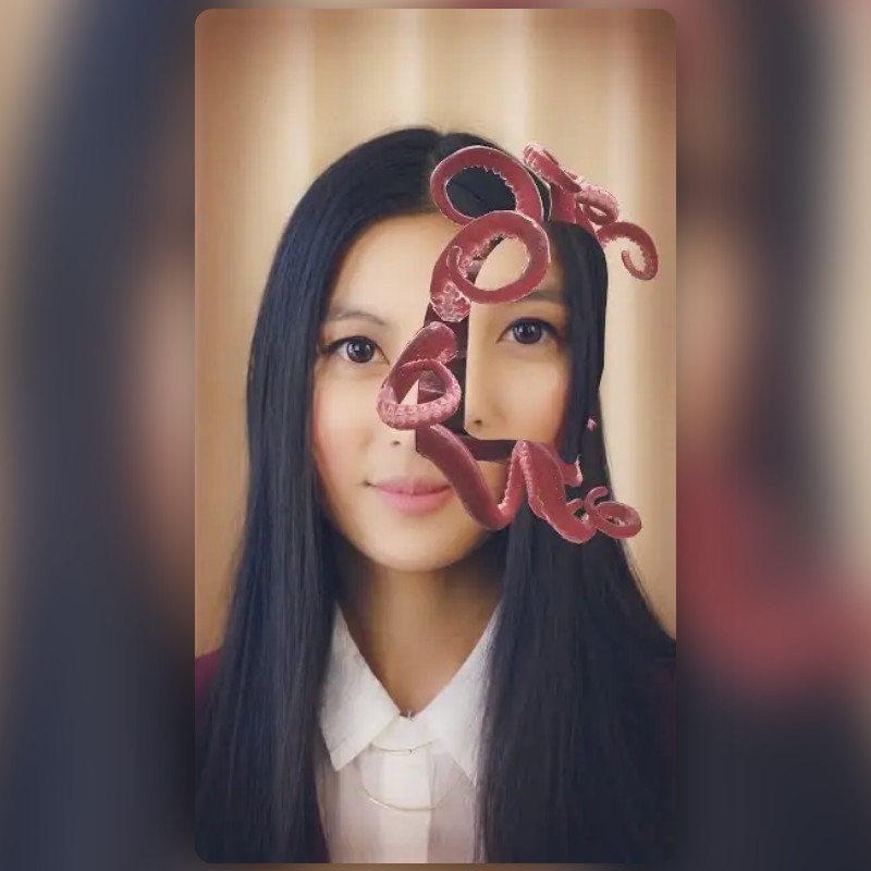 เลนส์ Octopus Face Effect สร้างโดย Snapchat - เลนส์และฟิลเตอร์ Snapchat