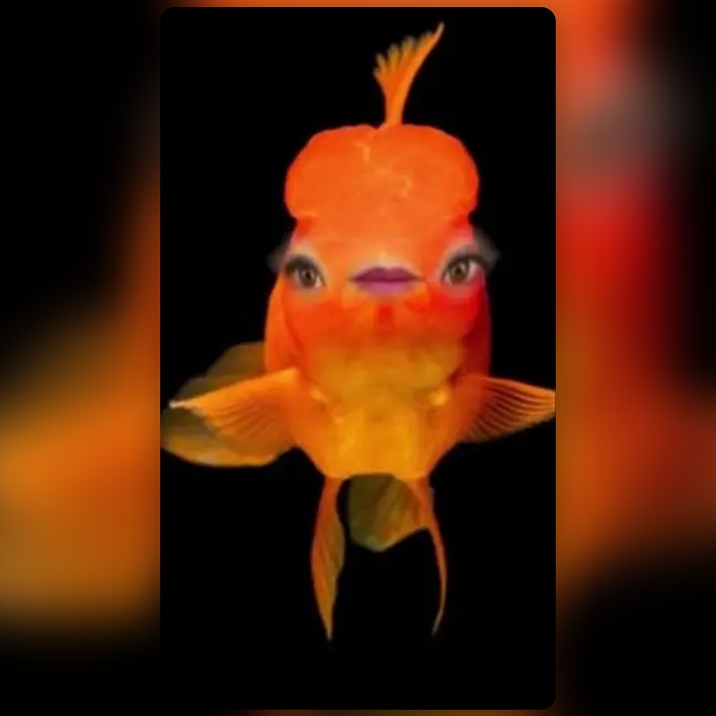 Fish Face Lens by Axel Diozy - Snapchat Lenses and Filters