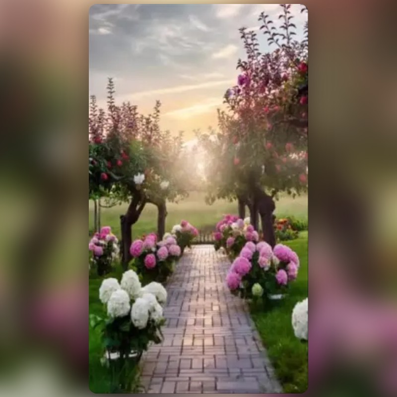 Beautiful Garden Filter by Saurav Mandal | Snapchat Lenses