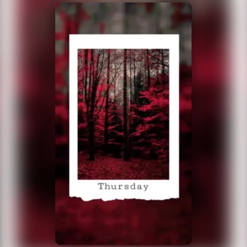 Red Trees Lens by Shahid Reality 🇮🇳 - Snapchat Lenses and Filters