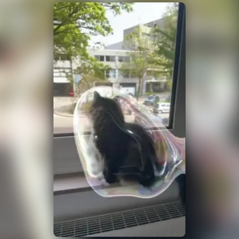 Bubble World Lens by Pavlo Tkachenko - Snapchat Lenses and Filters