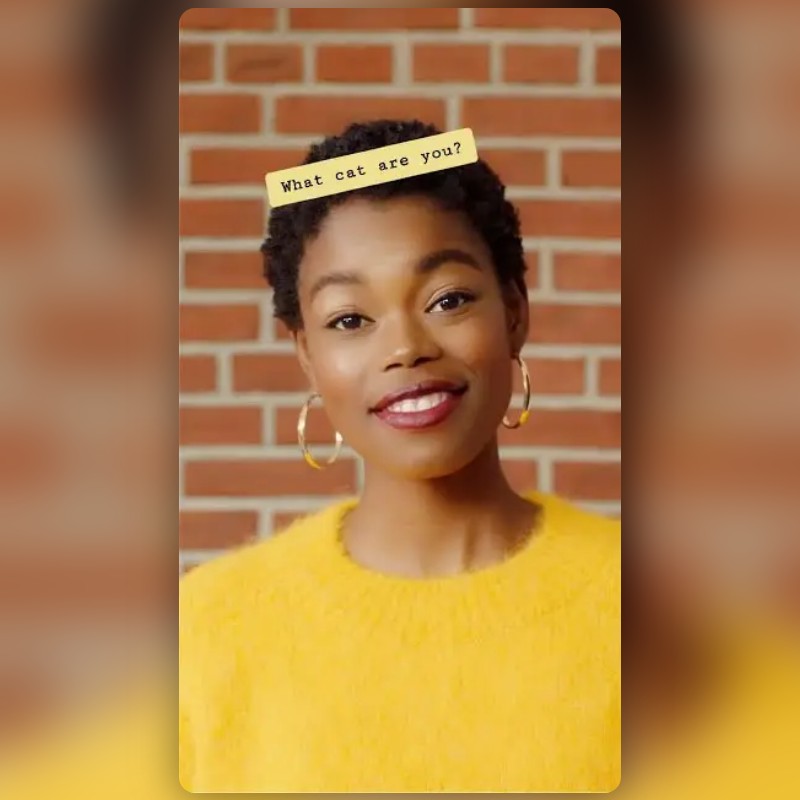 What Cat are You? Filter by Snapchat | Snapchat Lenses