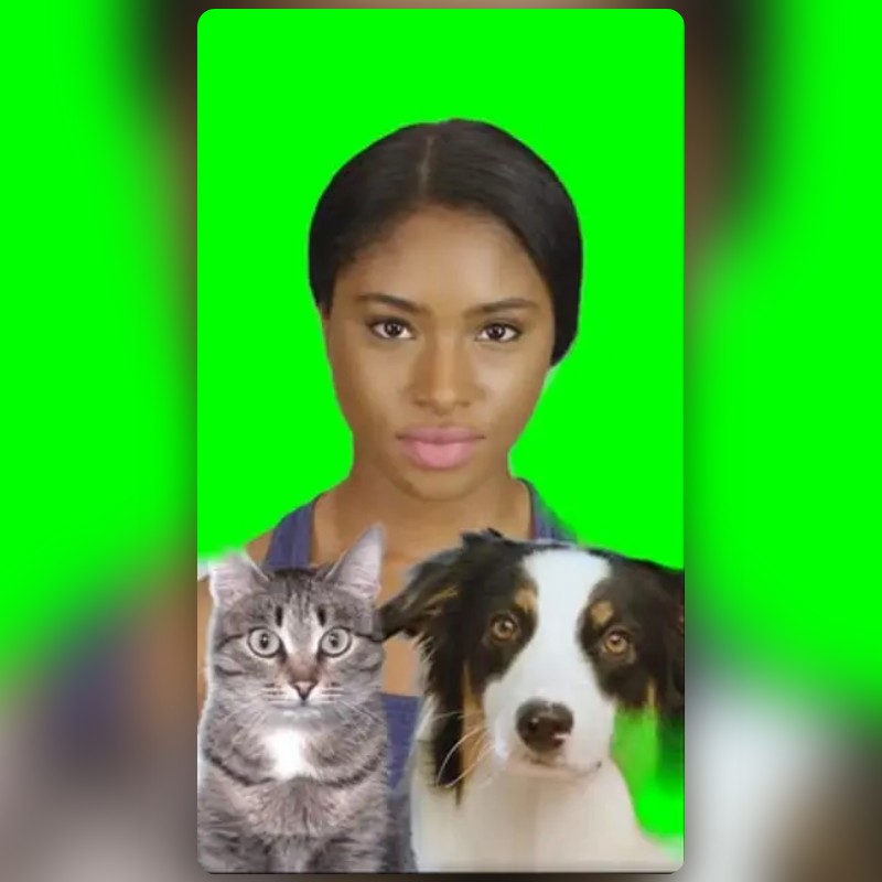 Green Screen Filter by Matt | Snapchat Lenses