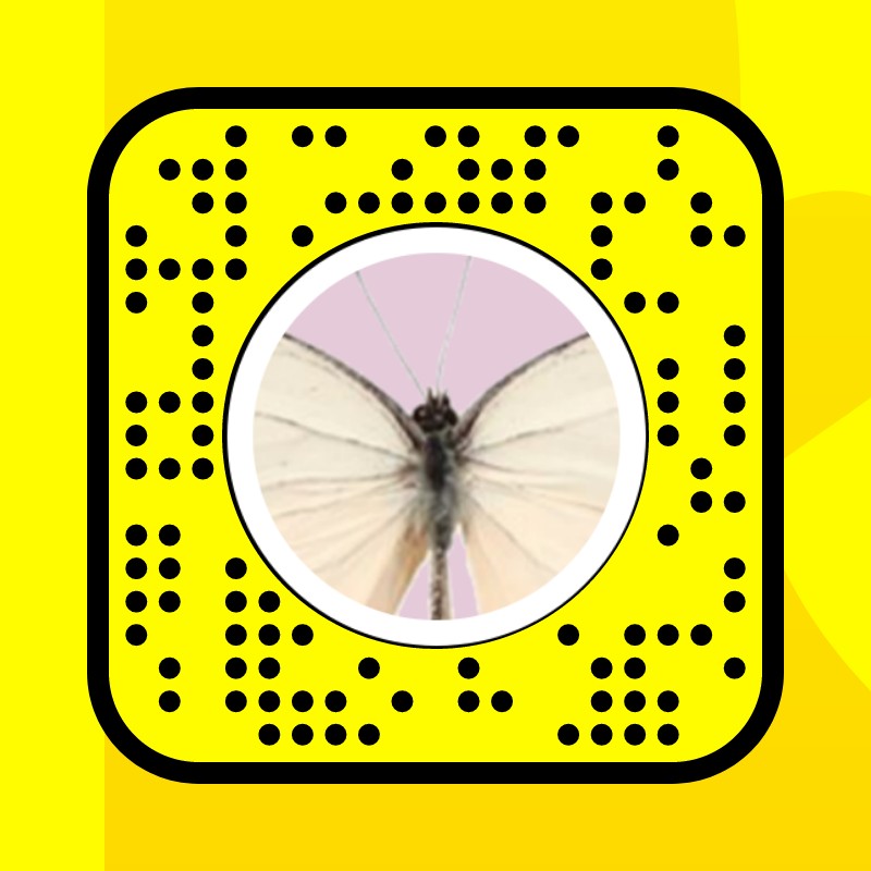 moths Filter by teresa ꩜ | Snapchat Lenses