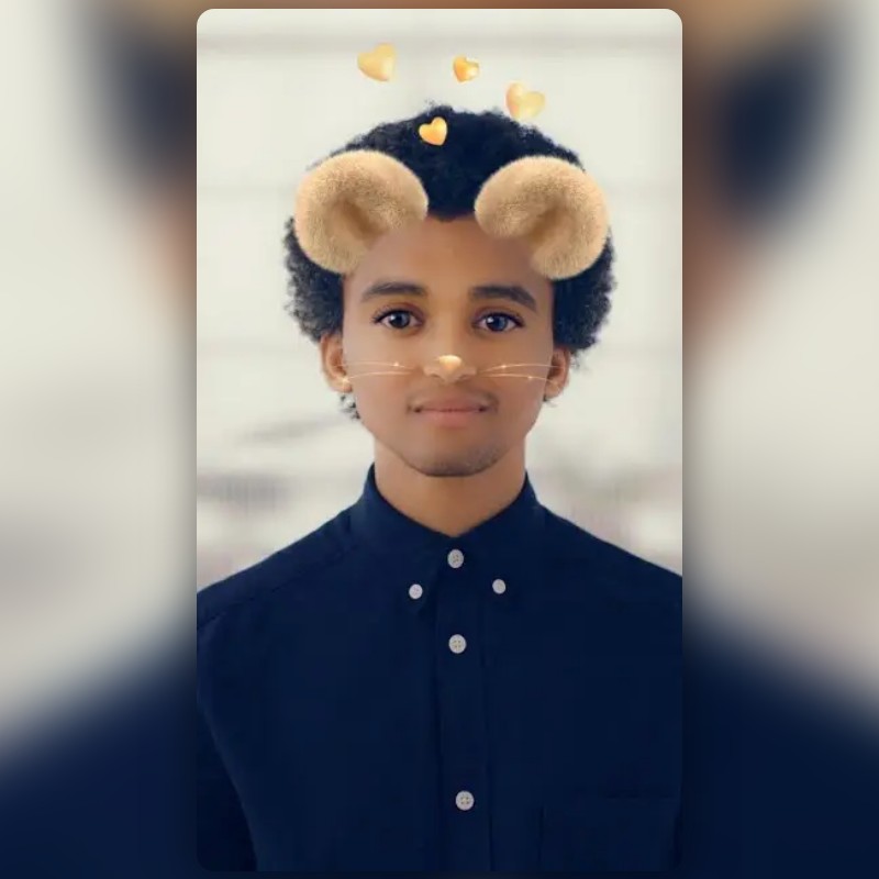 Gold Mouse Lens by Snapchat - Snapchat Lenses and Filters
