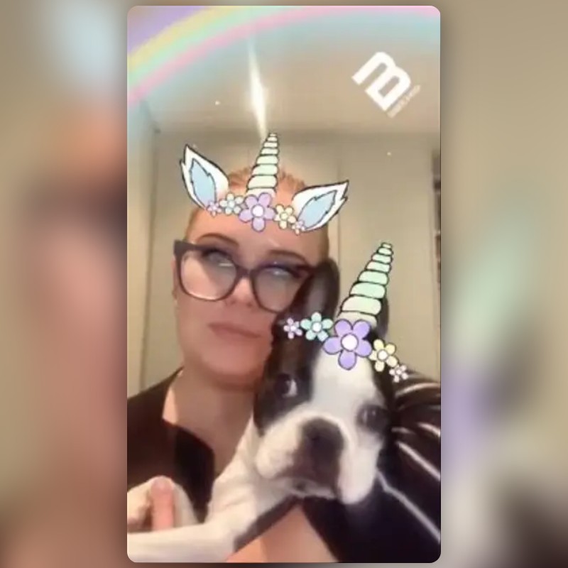 Unicorn pet Lens by SELVA SSA - Snapchat Lenses and Filters