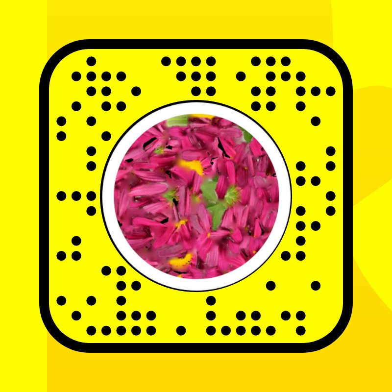 Flowercrown Filter by soyeons_wife | Snapchat Lenses